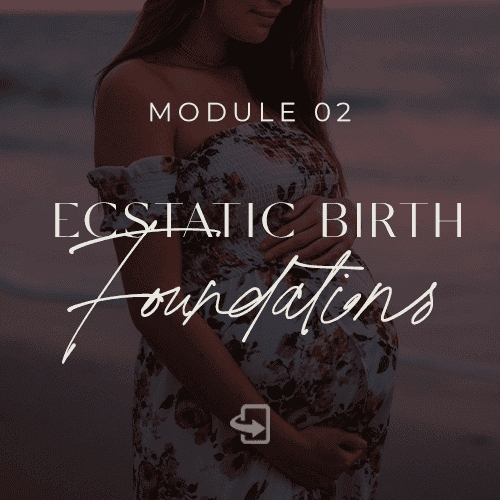 Advanced Leadership – Ecstatic Birth