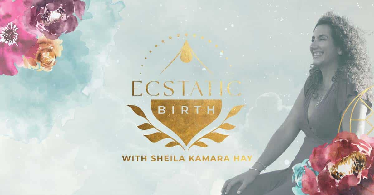 2023 Ecstatic Birth Practitioner Workshop: Replay - Ecstatic Birth